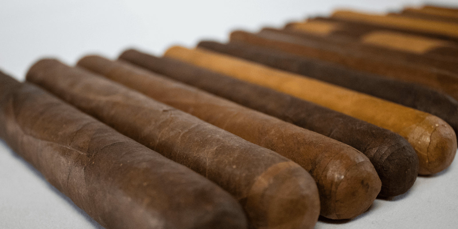 Findy Cigar Company & Hookah Lounge | South Tampa